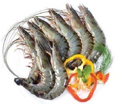 Tiger Prawns U-10 (10 pcs in a kg) – Habib Seafood