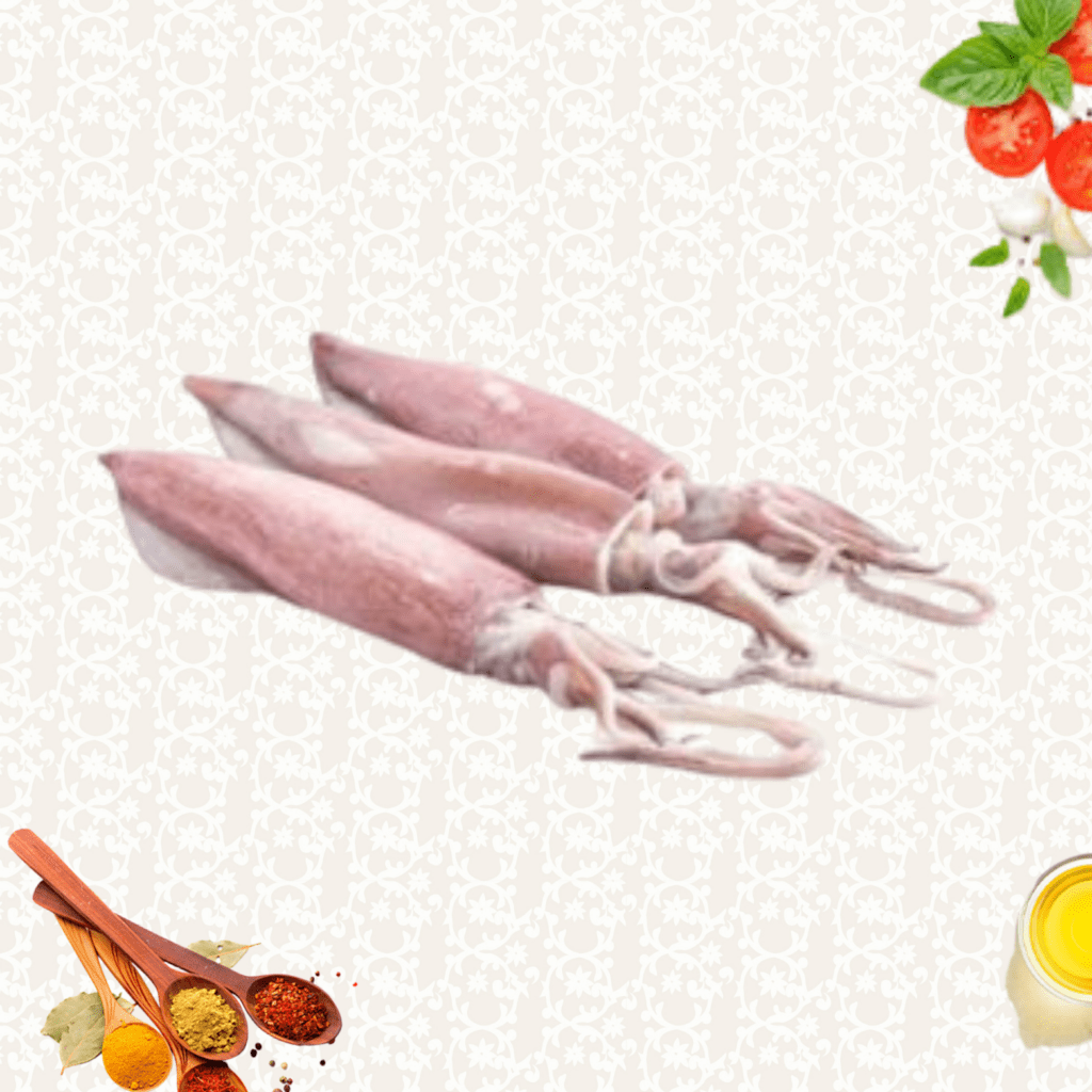 Squid (Calamari) - Habib Seafood